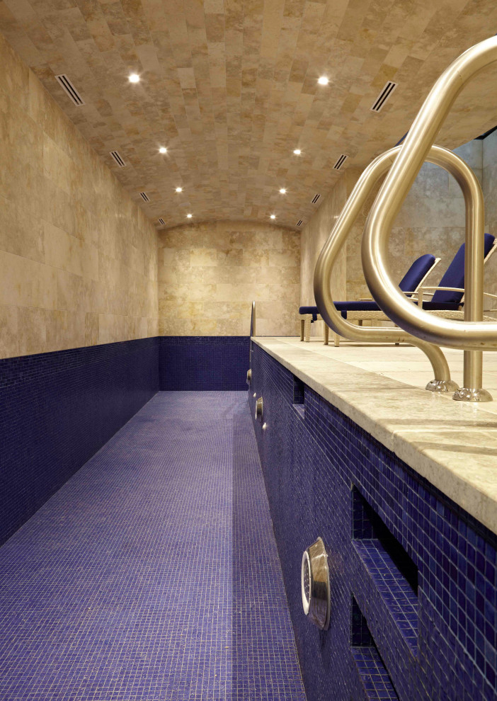 The pool in the basement - Contemporary - Swimming Pool & Hot Tub - New ...