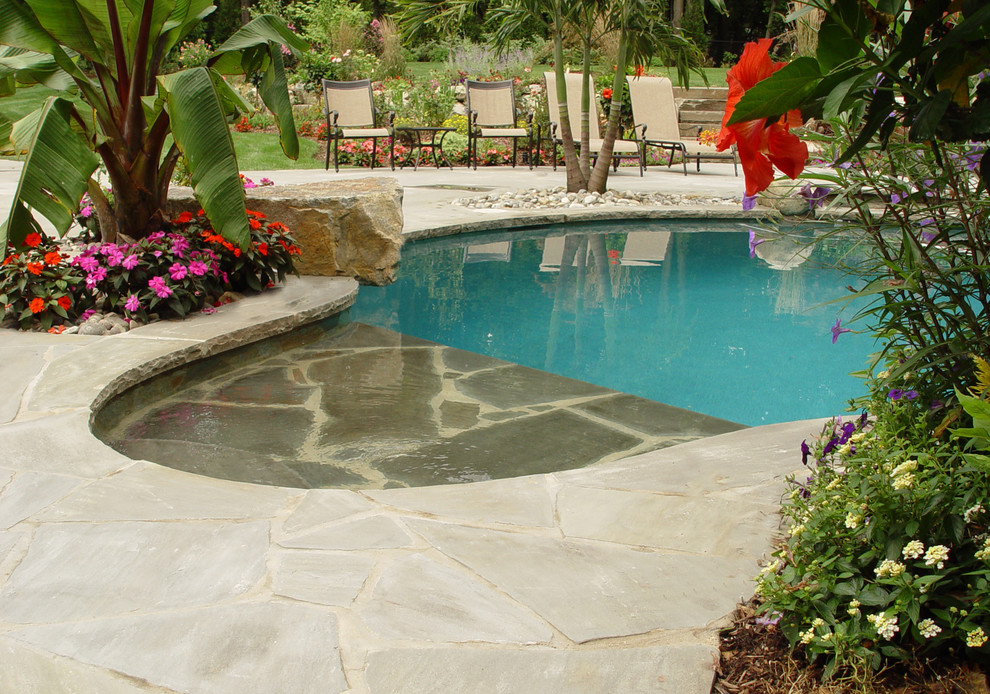 The Tropics in the suburbs - Tropical - Pool - New York - by Artisan ...