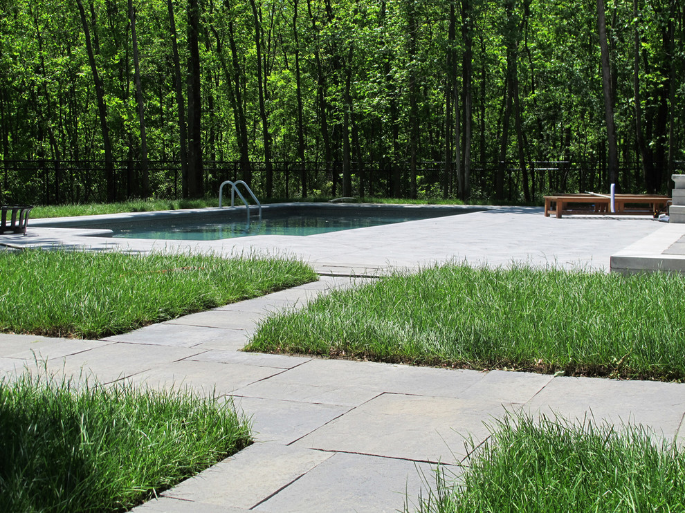 TOC design landscapes - Contemporary - Pool - Montreal - by TOC design ...