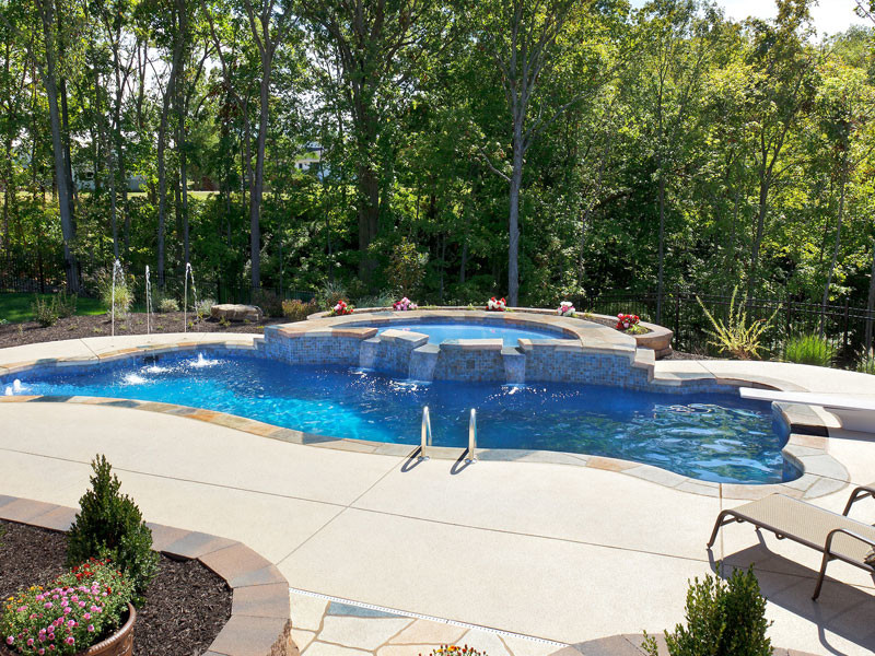 Trilogy Pools with Tanning Ledges - Tropical - Pool - Chicago - by ...