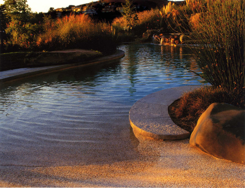 Tropical Beach Entry Pool - Tropical - Pool - San Francisco - by ...