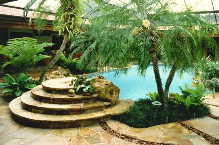 Tropical environment in south florida - Tropical - Pool - Miami - by ...