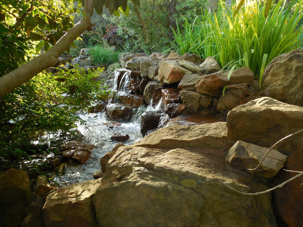 Tropical Oasis-As Seen On Animal Planet-The Pool Master - Tropical ...