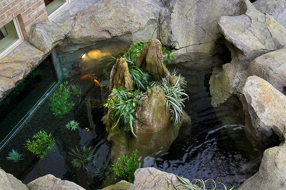 Underwater Viewing Window - Tropical - Pool - Cincinnati - by Shehan ...