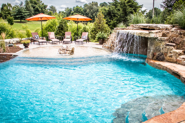 Tropical Freeform Pool Designs Freeform Pool With Negative Edge,