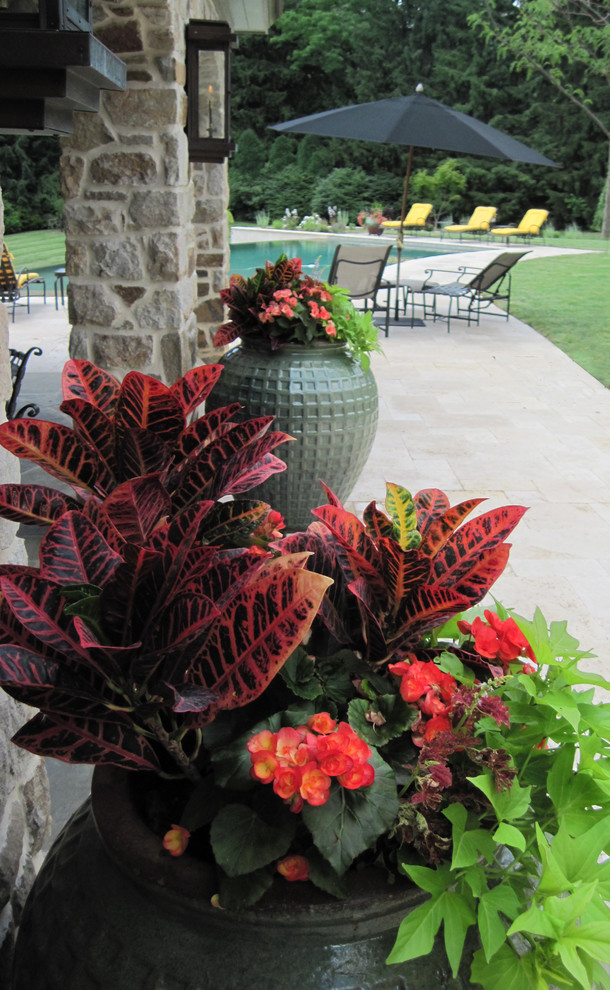 Villanova Landscape - Traditional - Pool - Philadelphia - by Wallace ...
