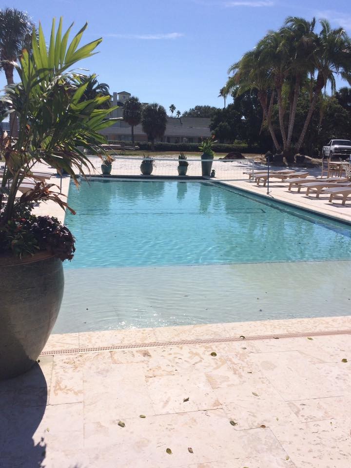 Volleyball Style Pool - Pool - Tampa - by Landmark Pools, Inc. | Houzz