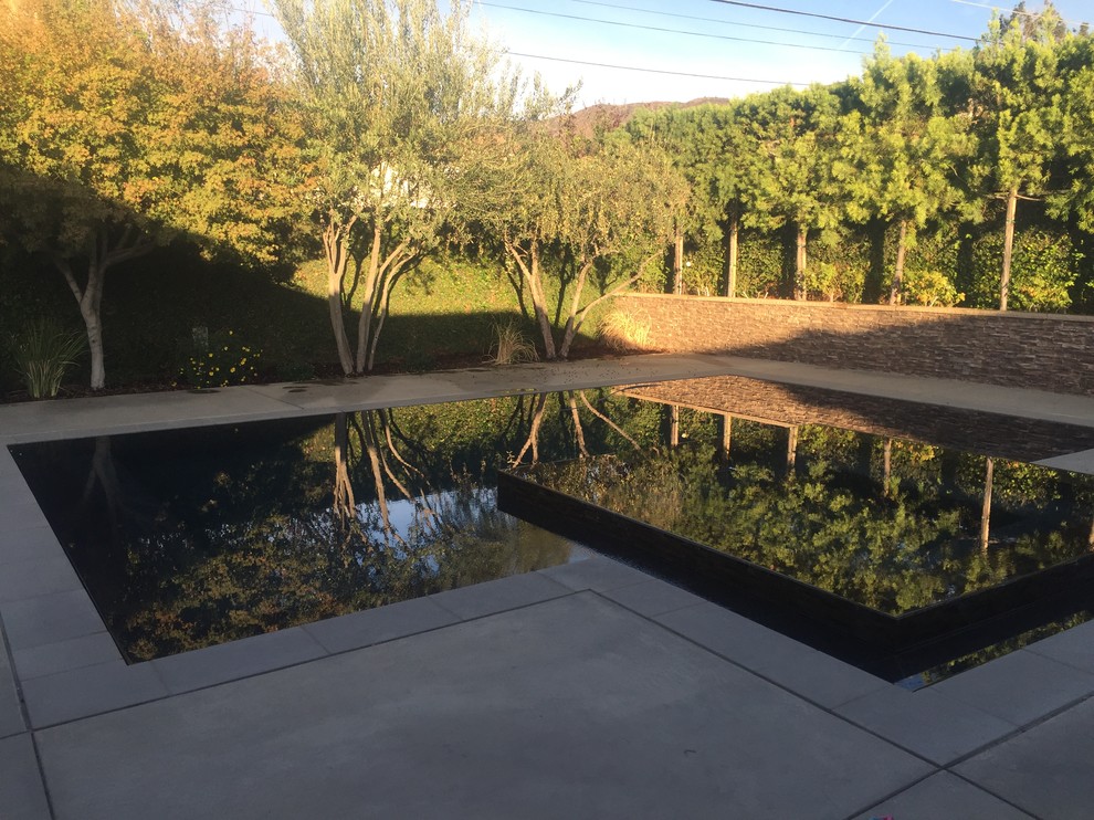 Willowgrove - Modern - Pool - Los Angeles - by SC POOLS | Houzz