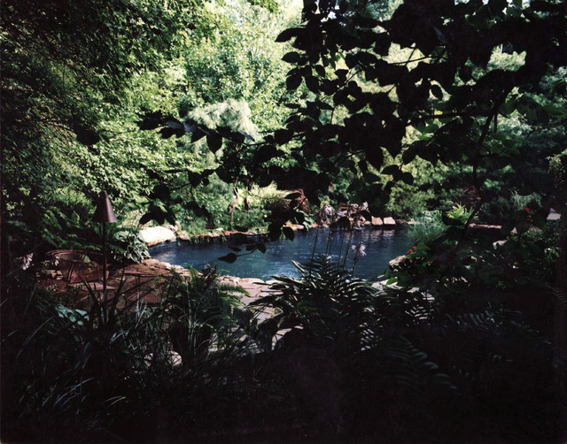 Woodland pool - Classique - Piscine - Philadelphie - par Pebble Pools ...