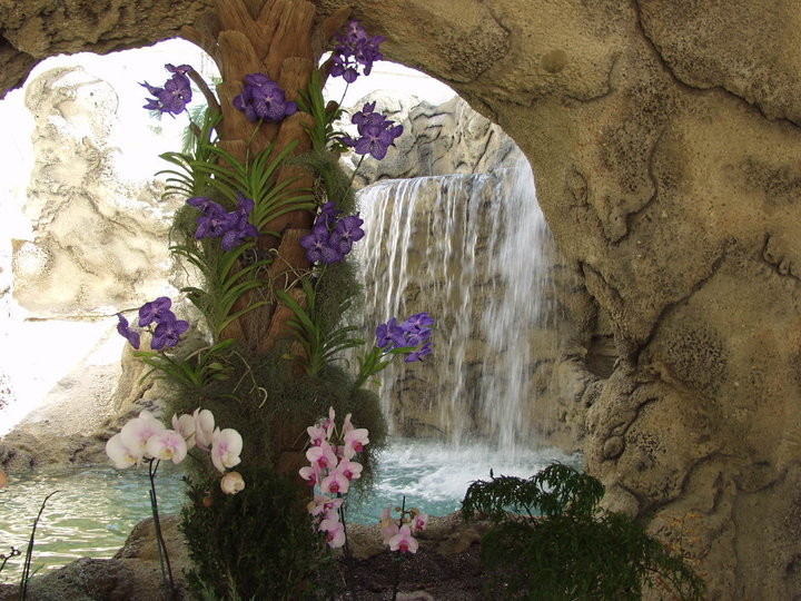 World Class Pools. Pittsburgh Premier Designs and Construction ...