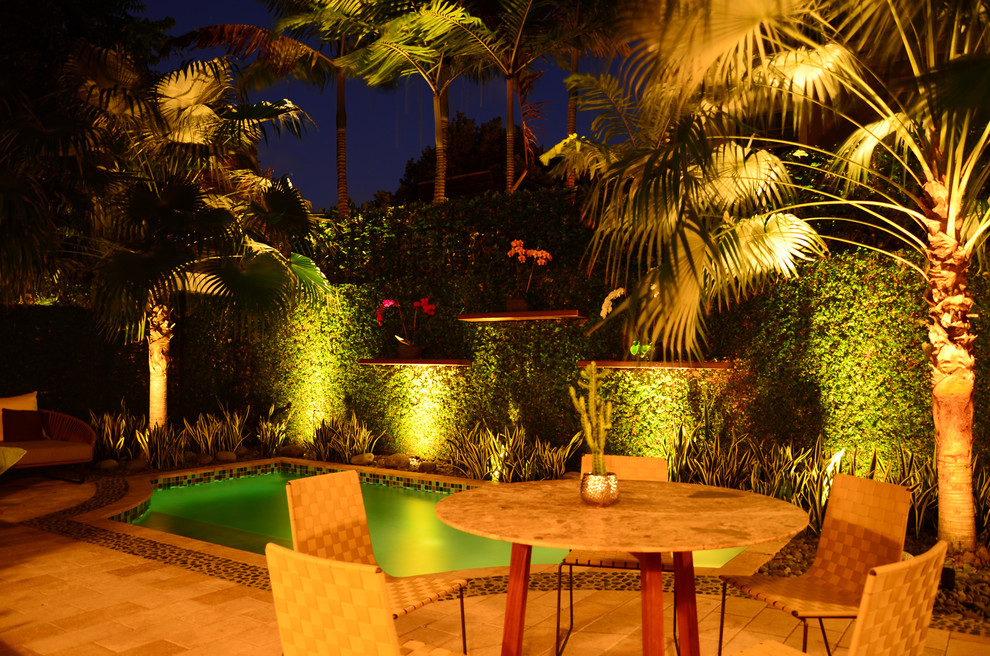 Zesty Zen - Contemporary - Pool - Miami - by Lewis Aqüi Landscape ...