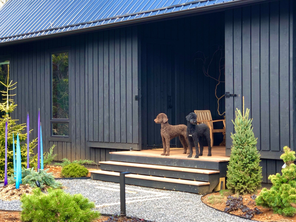 Dogtrot... with dogs! - Farmhouse - Porch - Charlotte - by Jay Sifford ...