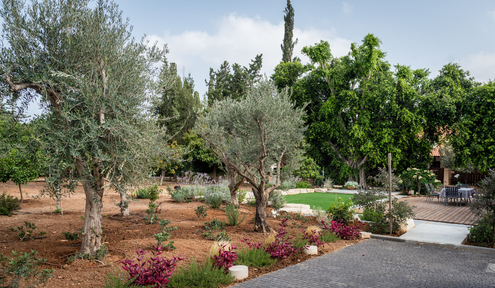 Landscape and hardscape - Mediterranean - Porch - Los Angeles - by Roy ...