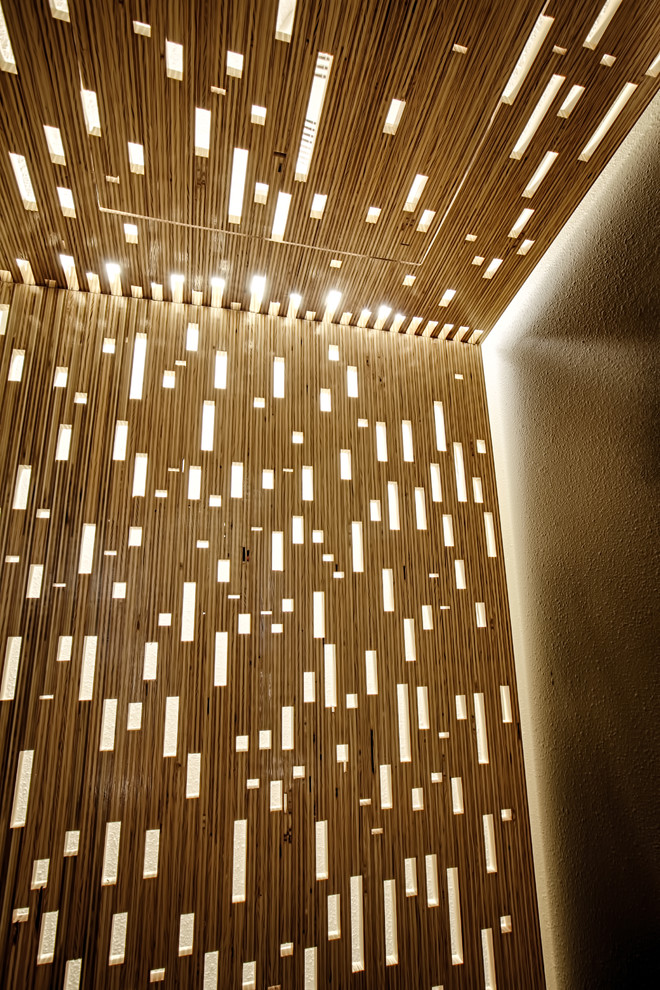 Wall / Ceiling - Modern - Powder Room - New York - by Dordevic ...