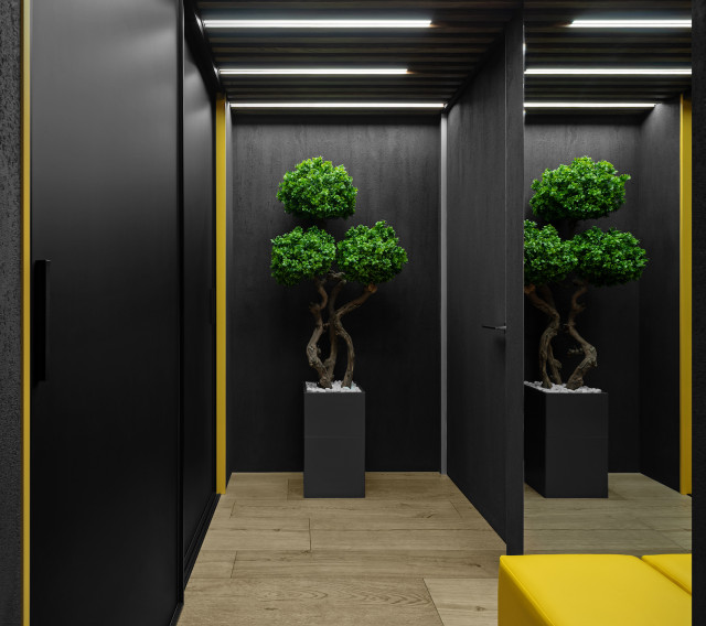 Black mood. Realization - Contemporain - Entrée - Moscou - par BARYarchitect | Houzz