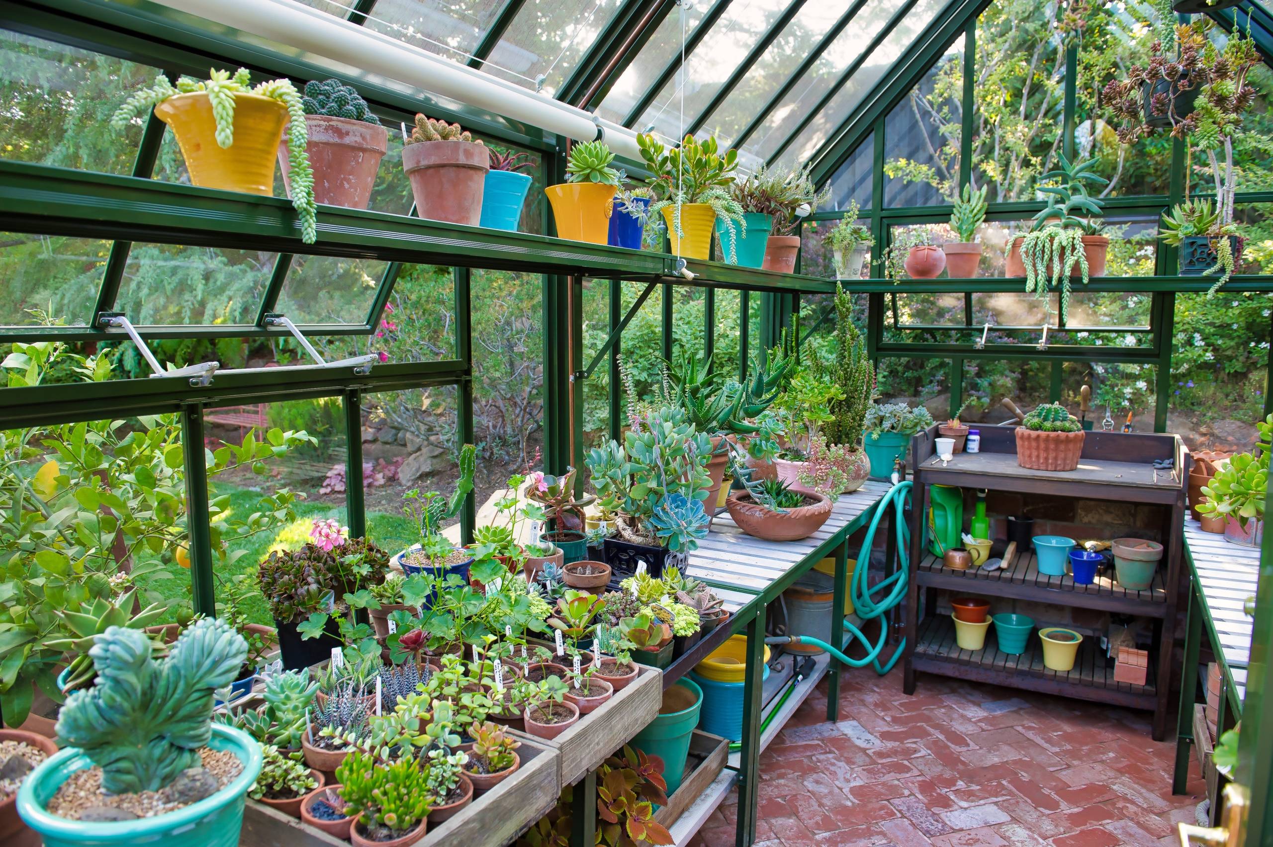 Detached Greenhouse Layout