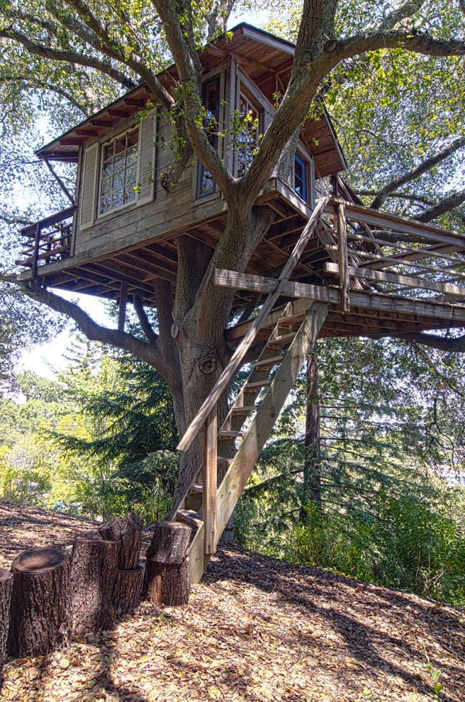 Treehouse - Rustic - Shed - San Francisco - by Alex Amend Photography ...