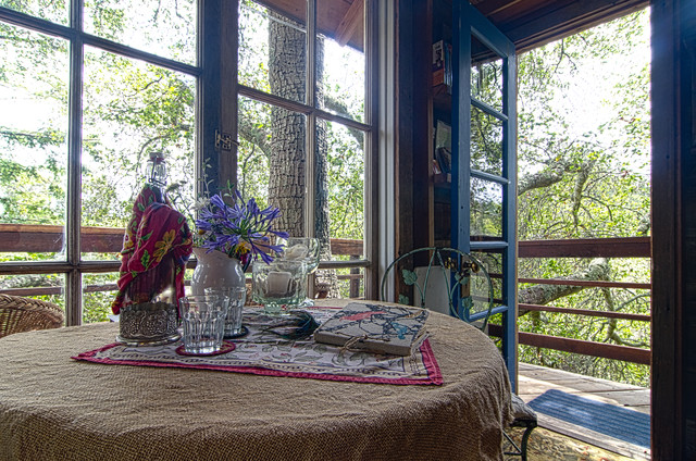 Treehouse - Rustic - Granny Flat or Shed - San Francisco - by Alex ...