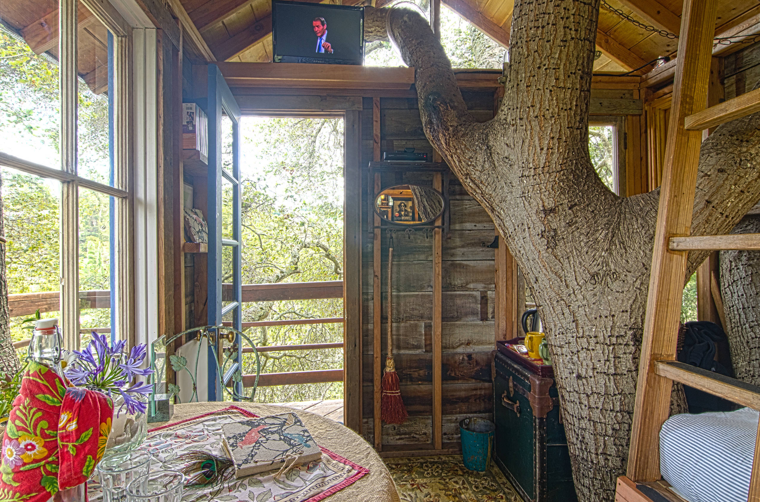 Treehouse furniture store
