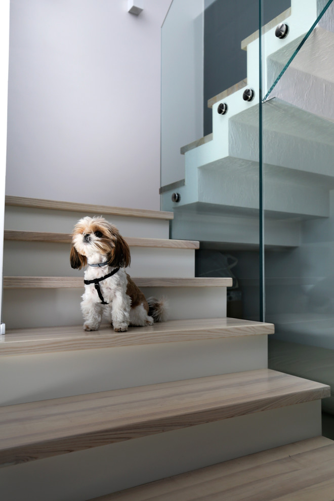 Concrete base stairs with glass - Contemporary - Staircase - Sussex ...