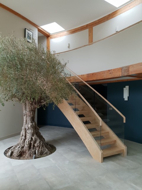 Limed Oak curved Helical Staircase - Contemporain - Escalier - Londres ...