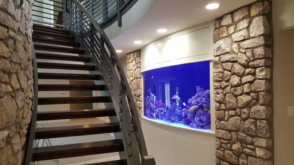 Newtown Aquarium - Rustic - Staircase - Philadelphia - by Aqua ...