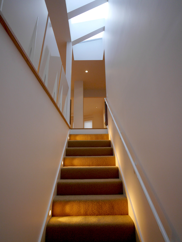 San Francisco Avenues Remodel - Modern - Staircase - San Francisco - by ...