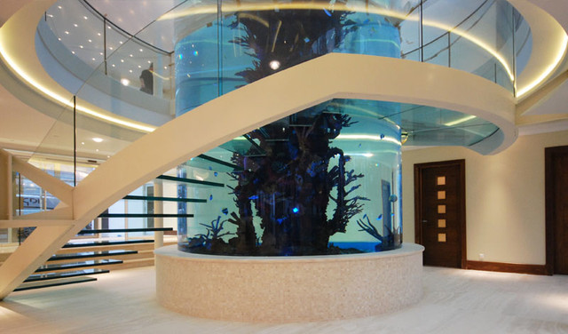 Staircase surrounding fish tank - Contemporary - Staircase - London ...