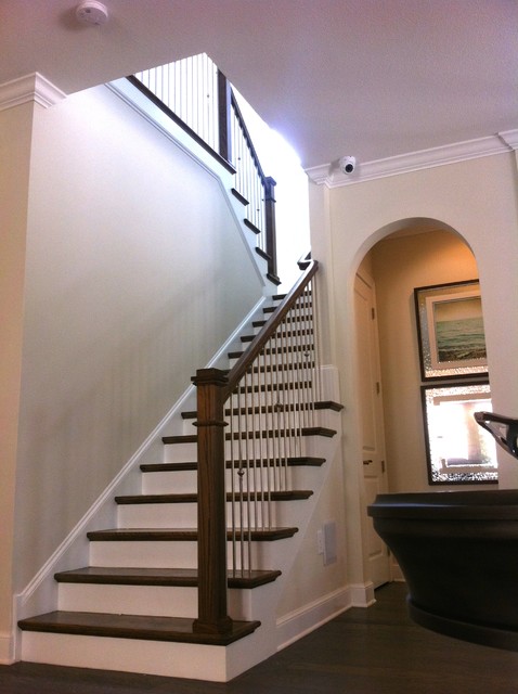 StanPac: "Hamilton" model @ Estancia - Wesley Chapel, FL - Transitional ...