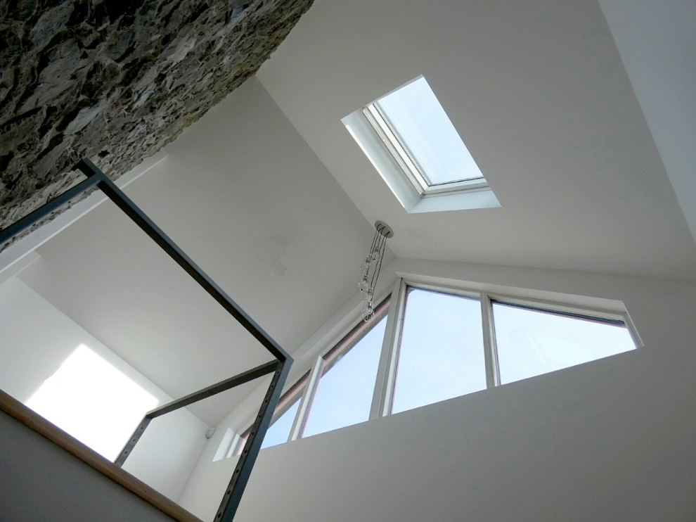 Stone Shed conversion & extension Co. Wexford - Contemporary ...