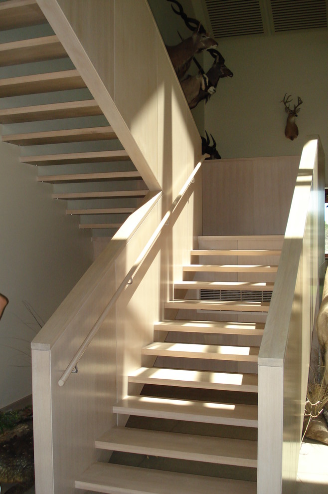 The Lion House - Modern - Staircase - Dallas - by Smith Design and ...