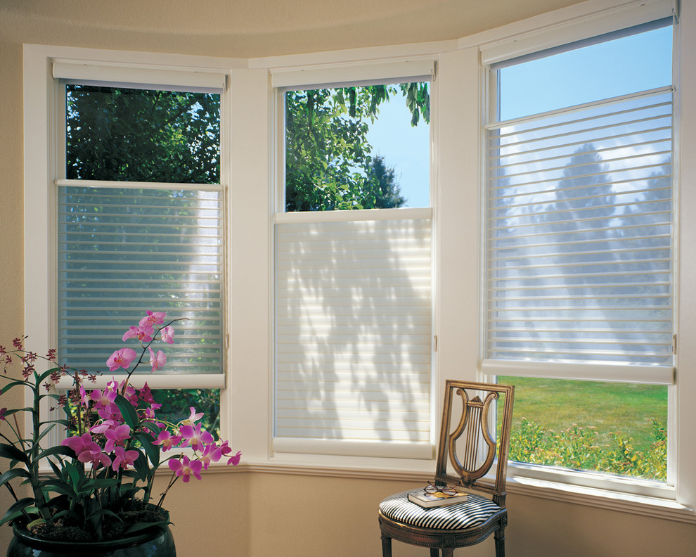 Silhouette® window shadings with EasyRise™ cord loop - Traditional ...