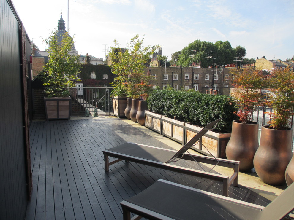 London roof garden - Contemporary - Terrace - London - by CGD Landscape ...