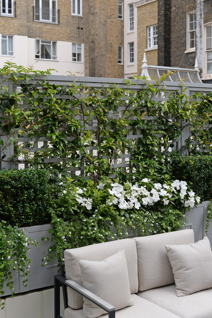 Traditional Trellis - Making Smaller Spaces Work - Traditional ...