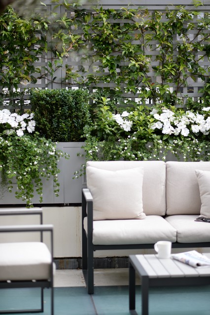 8 Trellis Ideas to Give You Garden Envy | Houzz UK