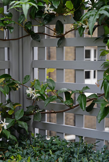 Traditional Trellis - Making Smaller Spaces Work - Traditional ...
