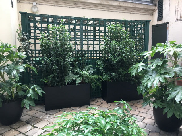 Courette parisienne - Campagne - Terrasse et Patio - Paris - par Kevin ...