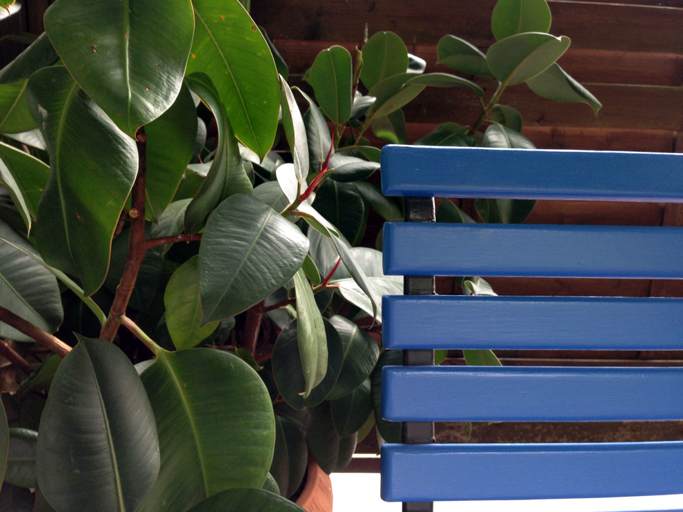 Terrasse bleue - Traditional - Patio - Strasbourg - by CÔTÉ | Houzz