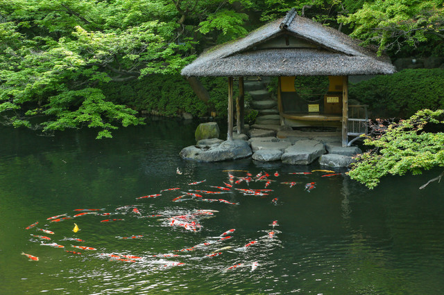 Исторический сад Happoen Garden, Tokyo, Japan - Asian - Garden - Tokyo ...