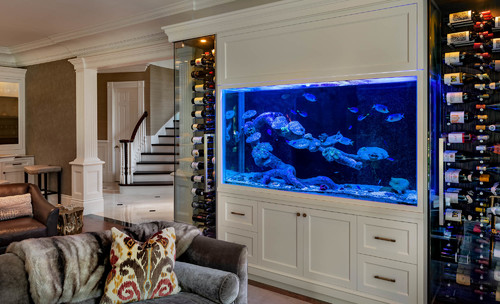How Luxe Can a Fish Tank Be? An Aquarium Upgrade Guide for Grownups