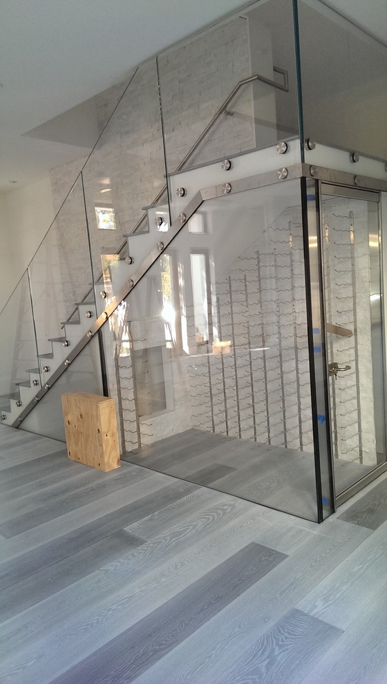 Modern all glass wine room - Modern - Wine Cellar - Tampa - by Faour ...