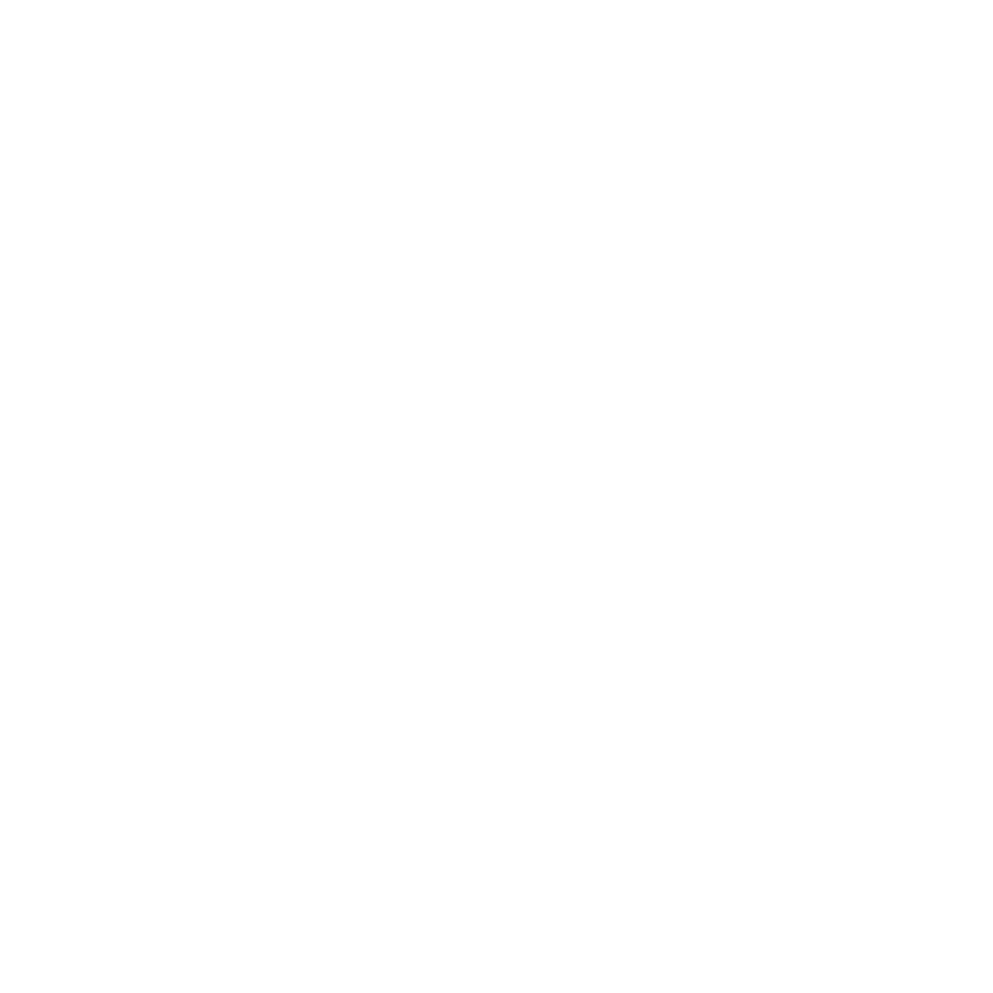 The Model Shop